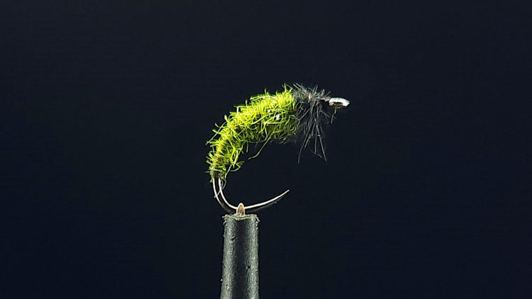 Super Simple Caddis Grub Fly Tying Video Now Available – Troutlore