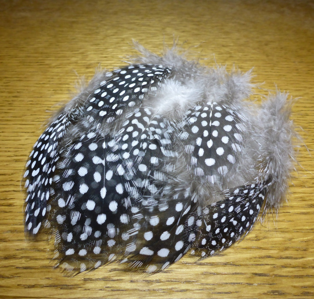 Guinea Fowl Natural - Troutlore Fly Tying