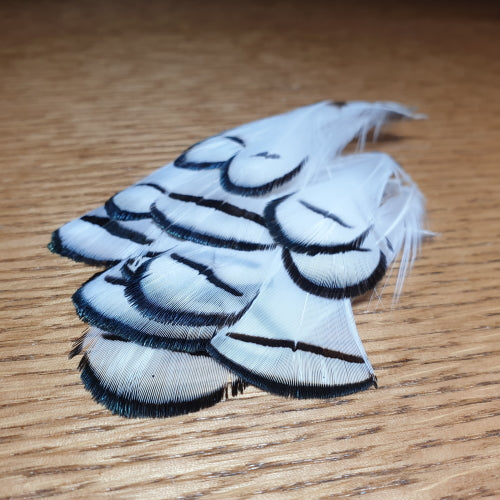 Pheasant – Troutlore