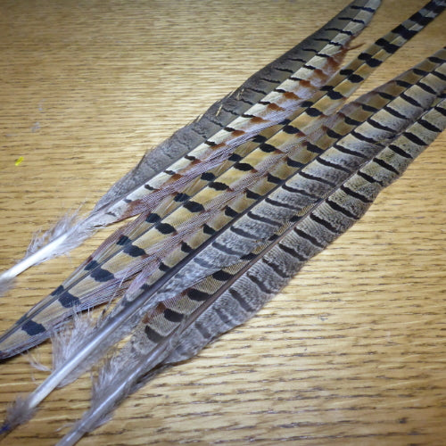 Pheasant – Troutlore