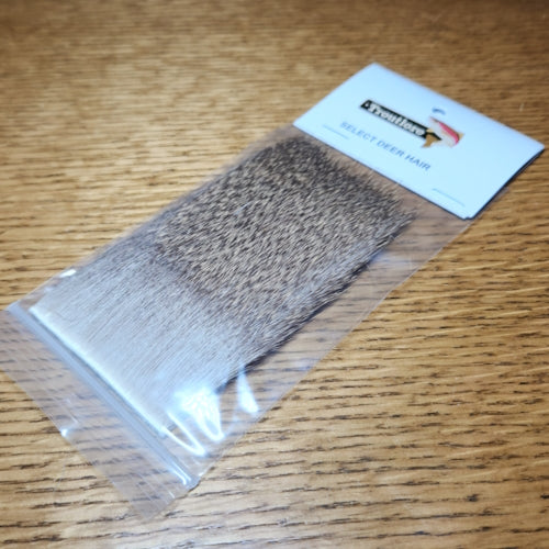Deer – Troutlore
